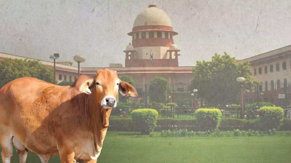 The Supreme Court has refused to hear a plea to declare the cow as the ...